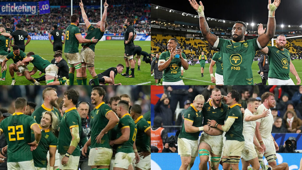 Rugby World Cup 2027: Springboks Rebuild for Rugby World Cup Giant Next ...