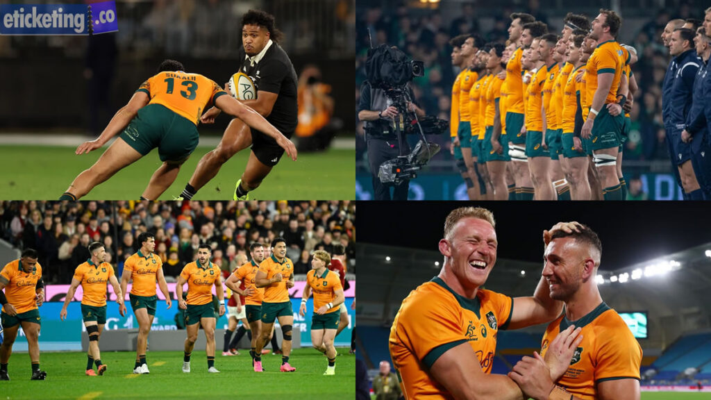 Rugby World Cup 2027: Western Force star and Wallabies forward Carlo ...